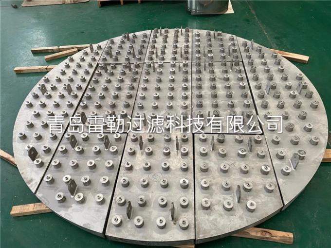 Desalination SS316L 50mm Pressure Ion Exchanger Nozzles